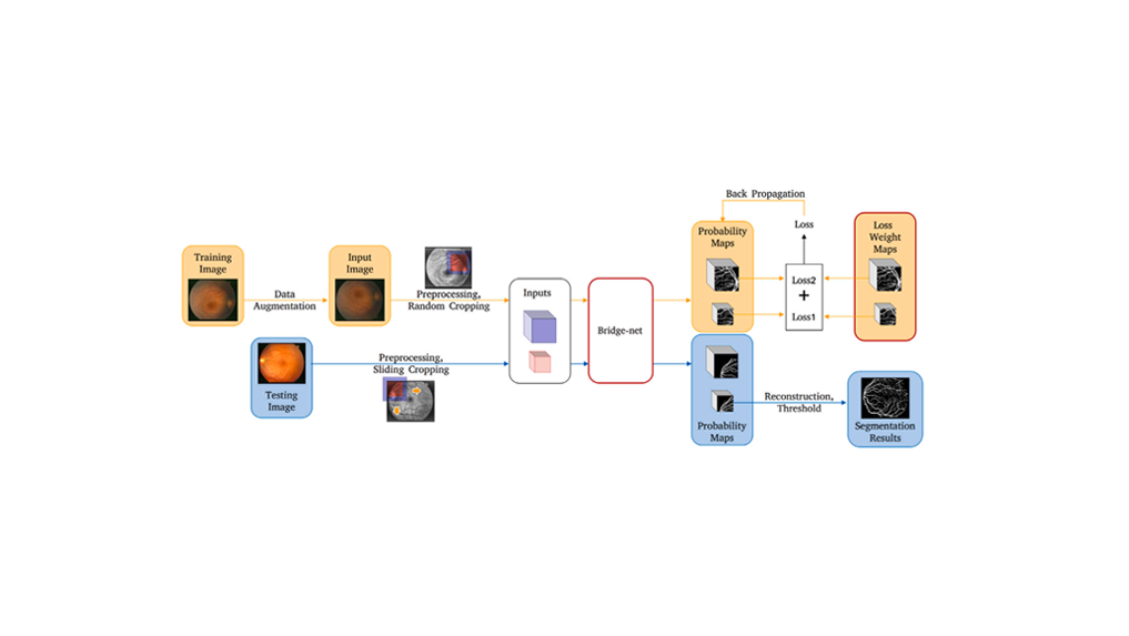 [ESA'22]Bridge-Net: Context-involved U-net with patch-based loss weight mapping for retinal ...