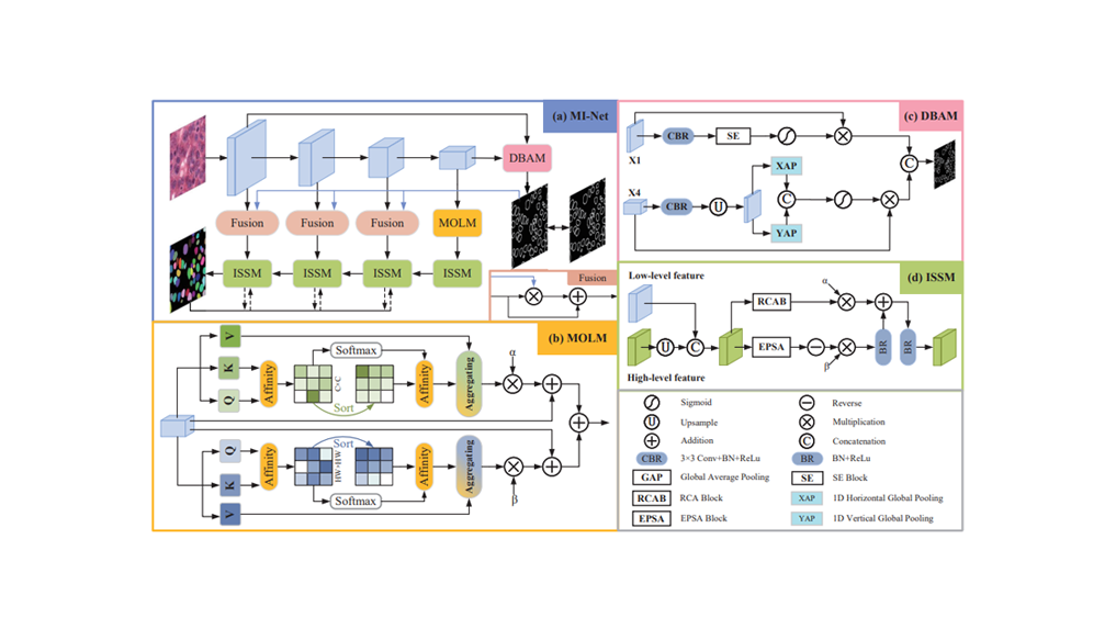 [ICASSP'23]Multi-Object Localization and Irrelevant-Semantic Separation for Nuclei Segmentation ...